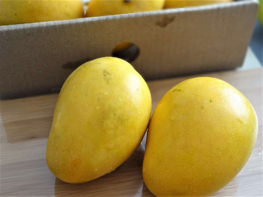 How to choose Mangoes? - Felicity Plus